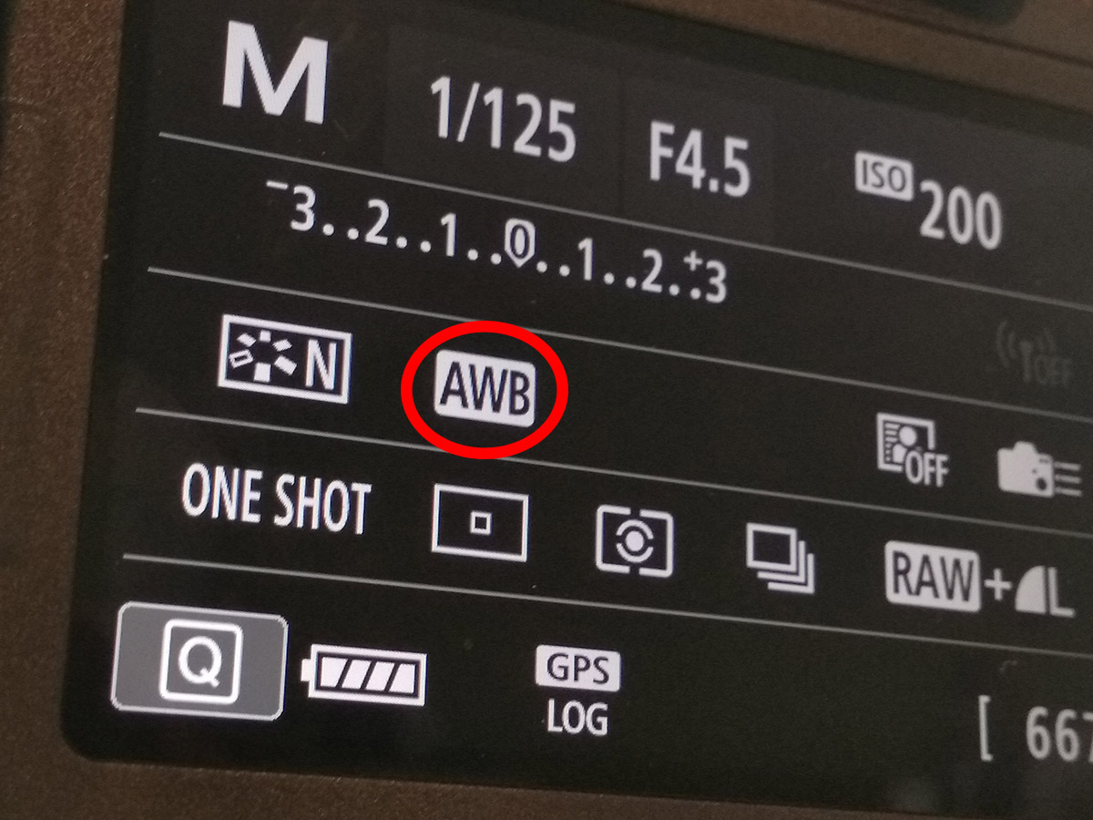 El balance de blancos bien explicado - Foxspain Fotografía
